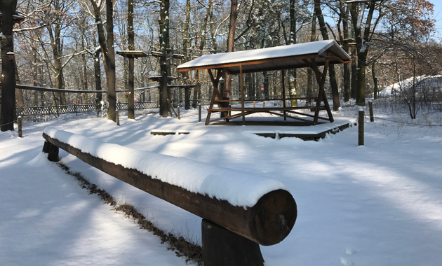 HOME Kletterwald - Kletterwald Wuhlheide